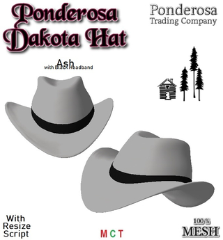 Second Life Marketplace - Ponderosa Dakota Hat - Ash (Black Band)